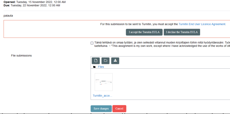 Turnitin – Guides in English
